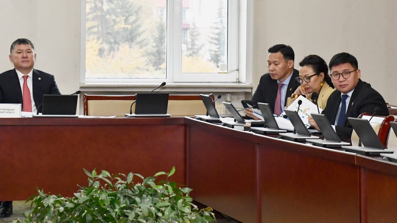 Эрүүл мэндийн даатгалын тухай хуулийн хэрэгжилтийн асуудлаарх ажлын хэсэг хуралдлаа